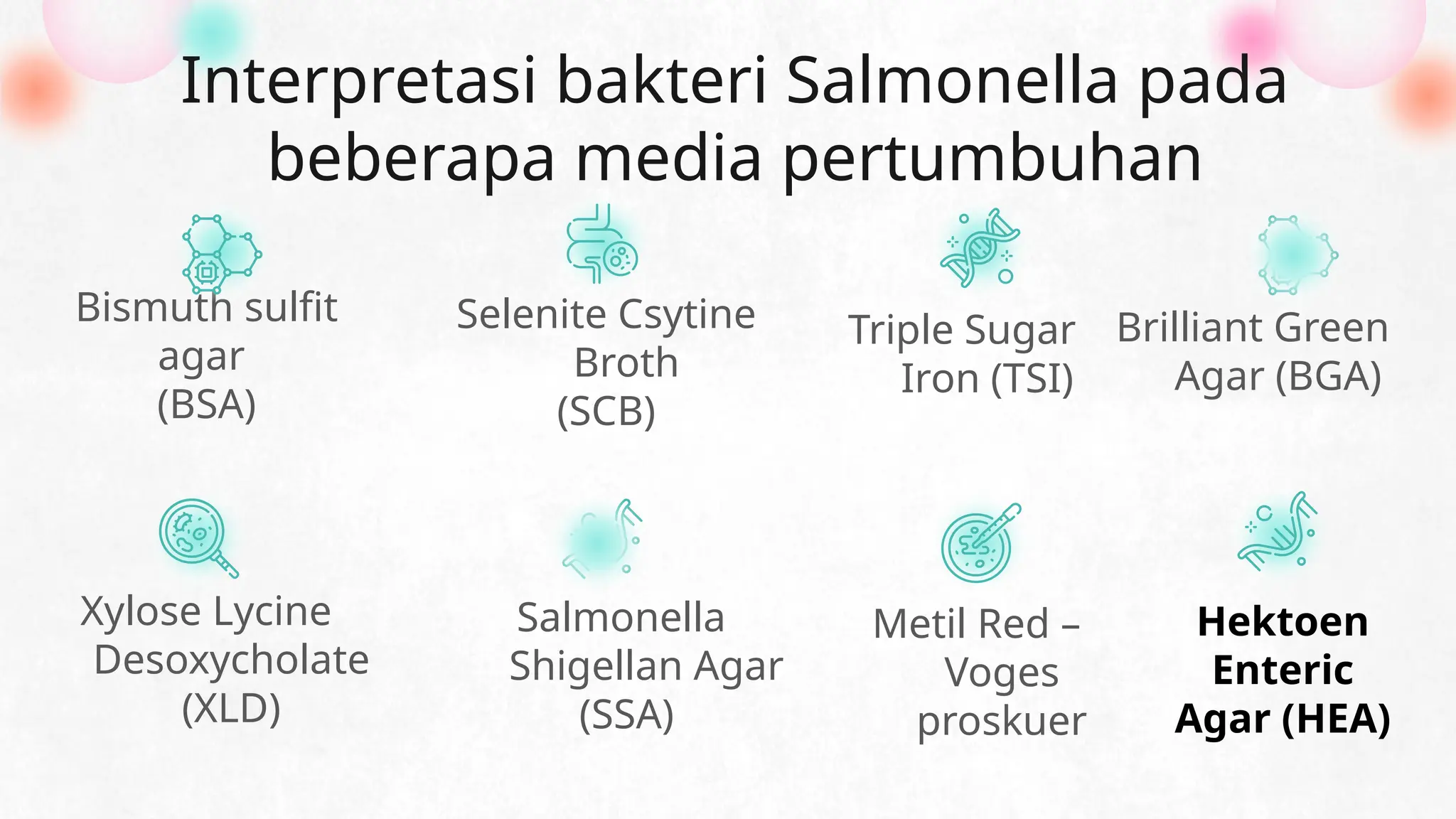 ppt bakteri salmonella dan taksonominya dan karakteristiknya | PPTX