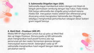 ppt bakteri salmonella dan taksonominya dan karakteristiknya | PPTX