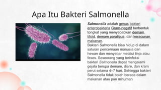 ppt bakteri salmonella dan taksonominya dan karakteristiknya | PPTX