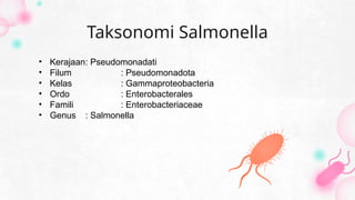 ppt bakteri salmonella dan taksonominya dan karakteristiknya | PPTX