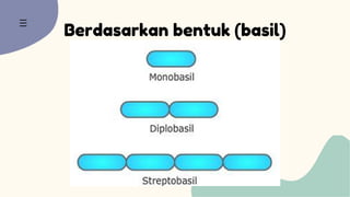 PPT Bakteri X.pdf