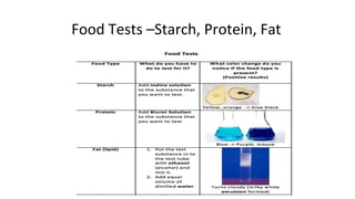 PPT BALANCED DIET PPT BALANCED DIET PPT BALANCED DIET | PPTX