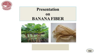 Ppt banana fiber new | PPTX