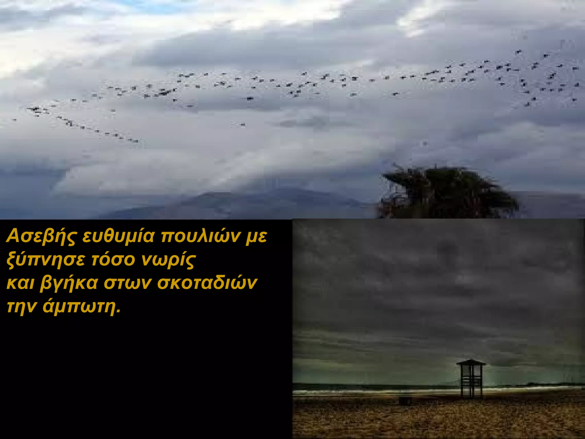 κική δ.Ppt basilis | PPT