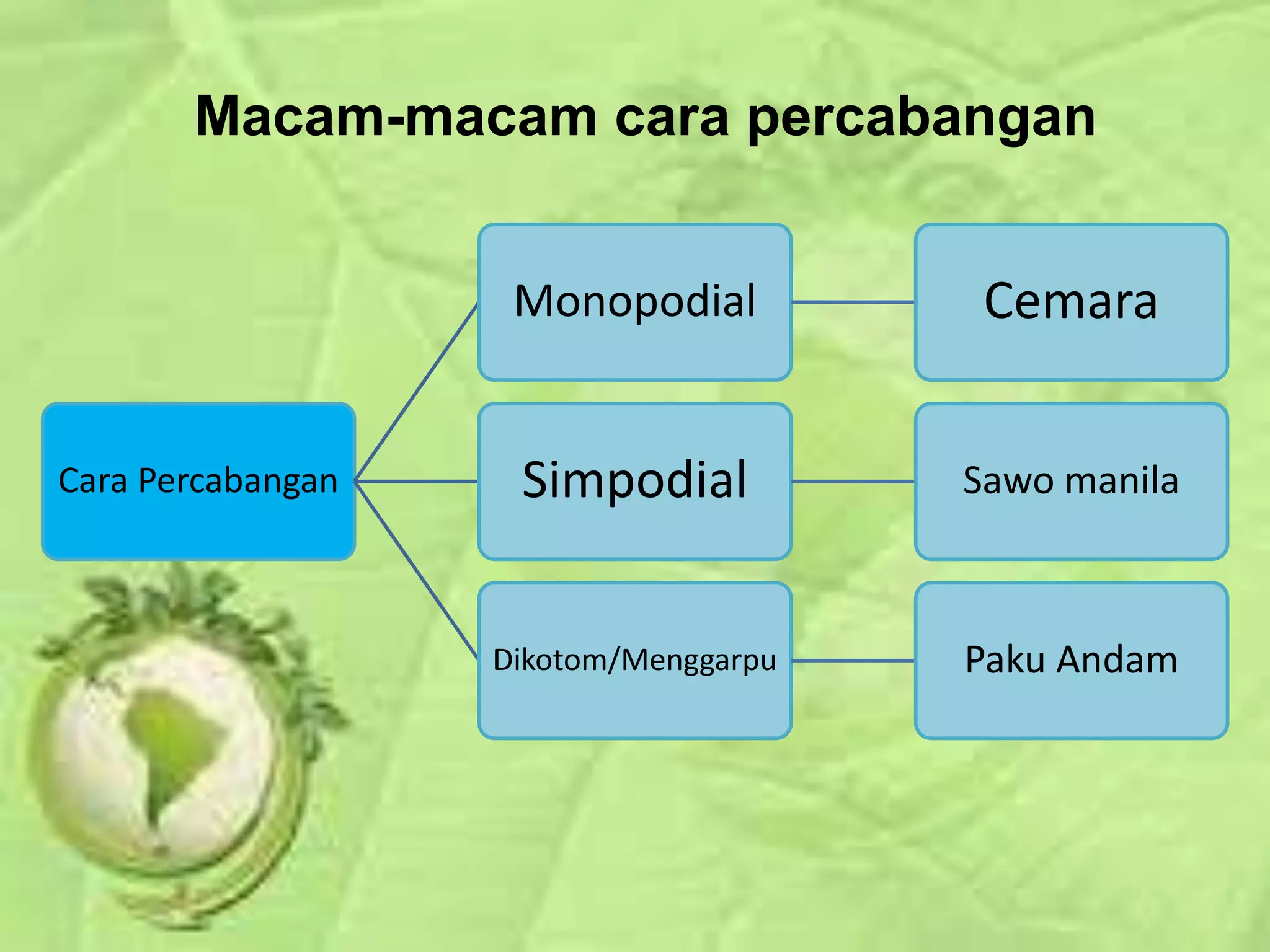 morfologi batang | PPTX