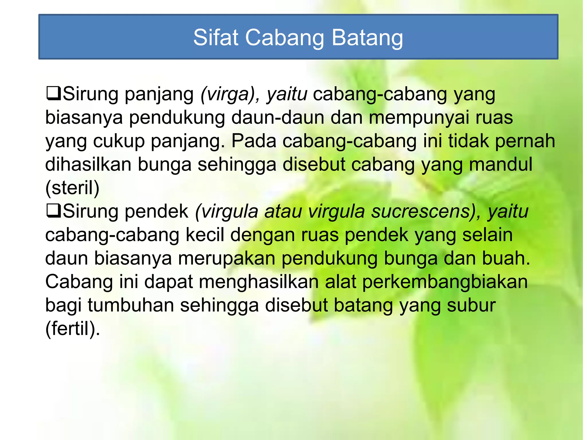 morfologi batang | PPTX