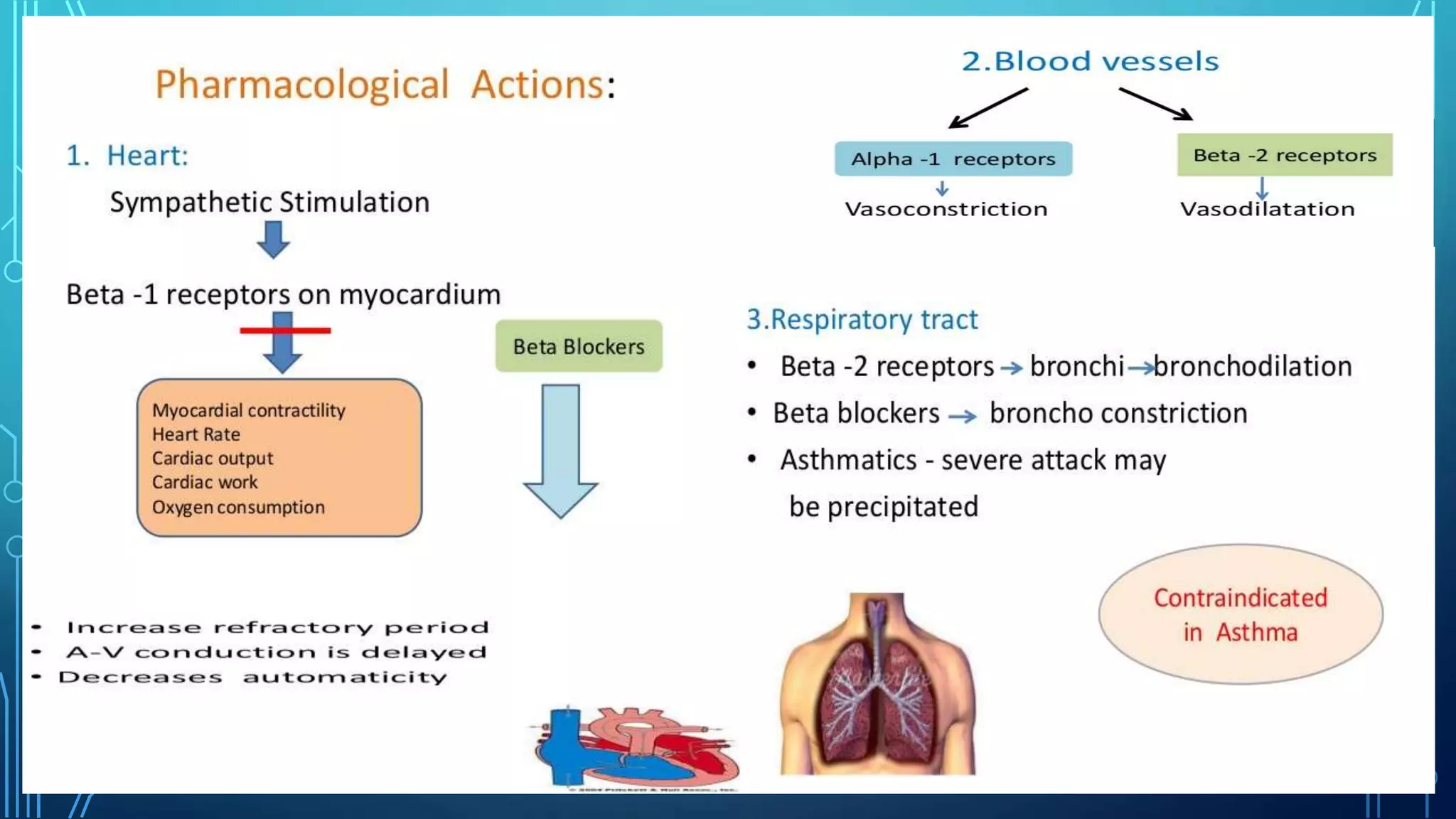 Ppt b blockers presentation | PPTX