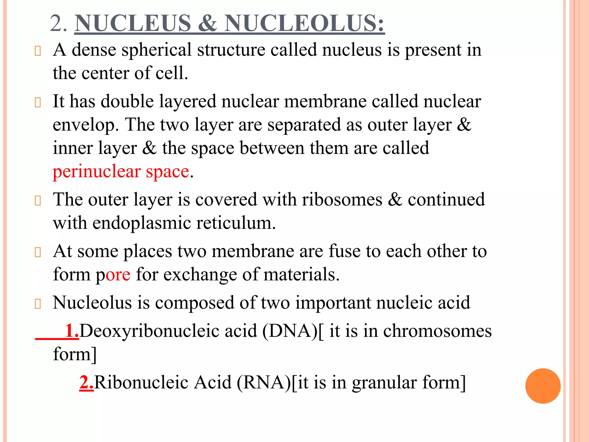 Introduction to Biochemistry | PDF