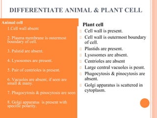 Introduction to Biochemistry | PPT