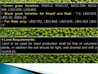 BLACK AND GREEN GRAM SEED PRODUCTION IN . | PPT