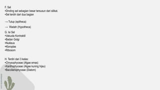PPT Bahan Obat Kelautan Chrysophyta | PPT