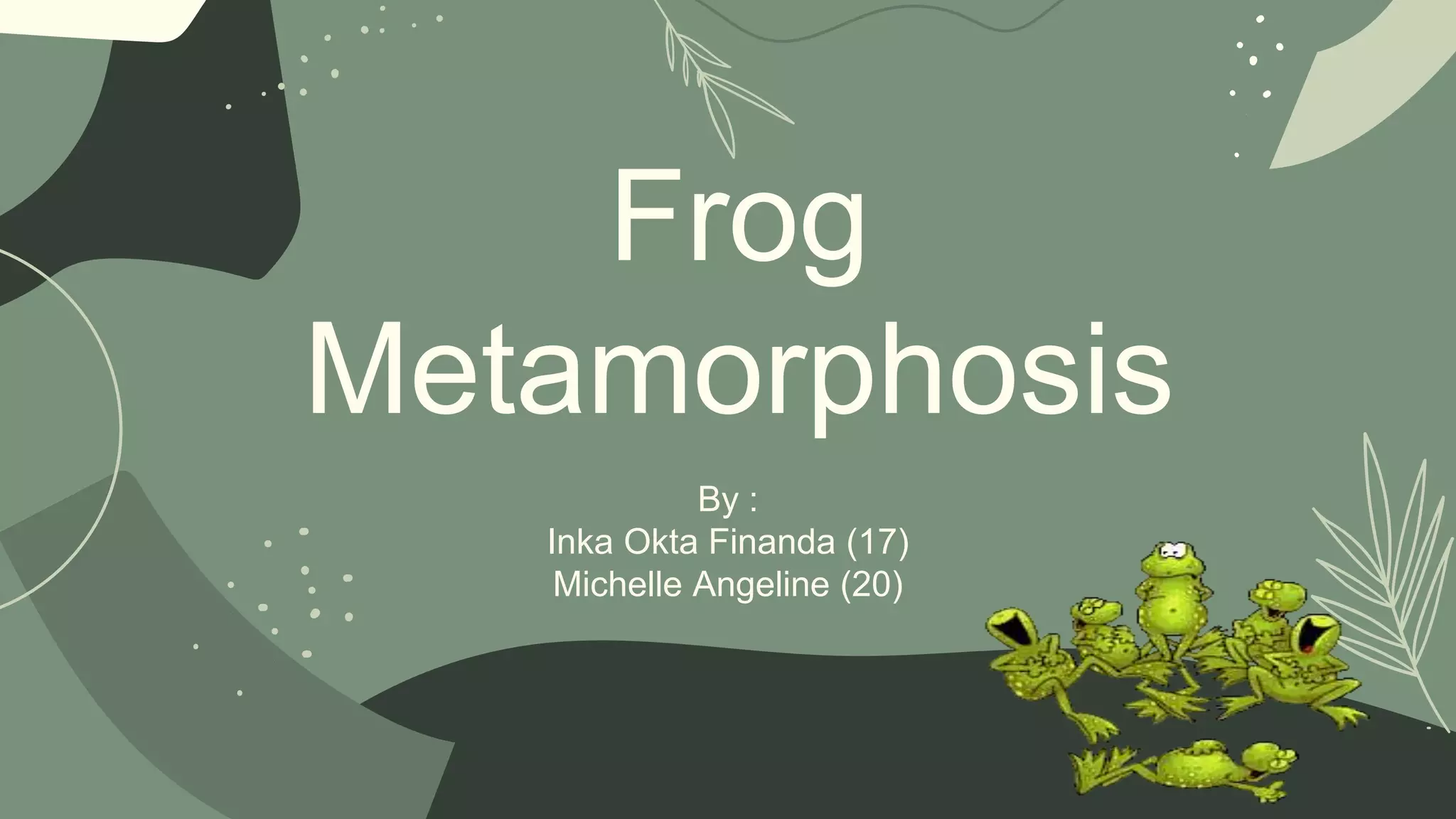 Metamorhosis of frog.pptx