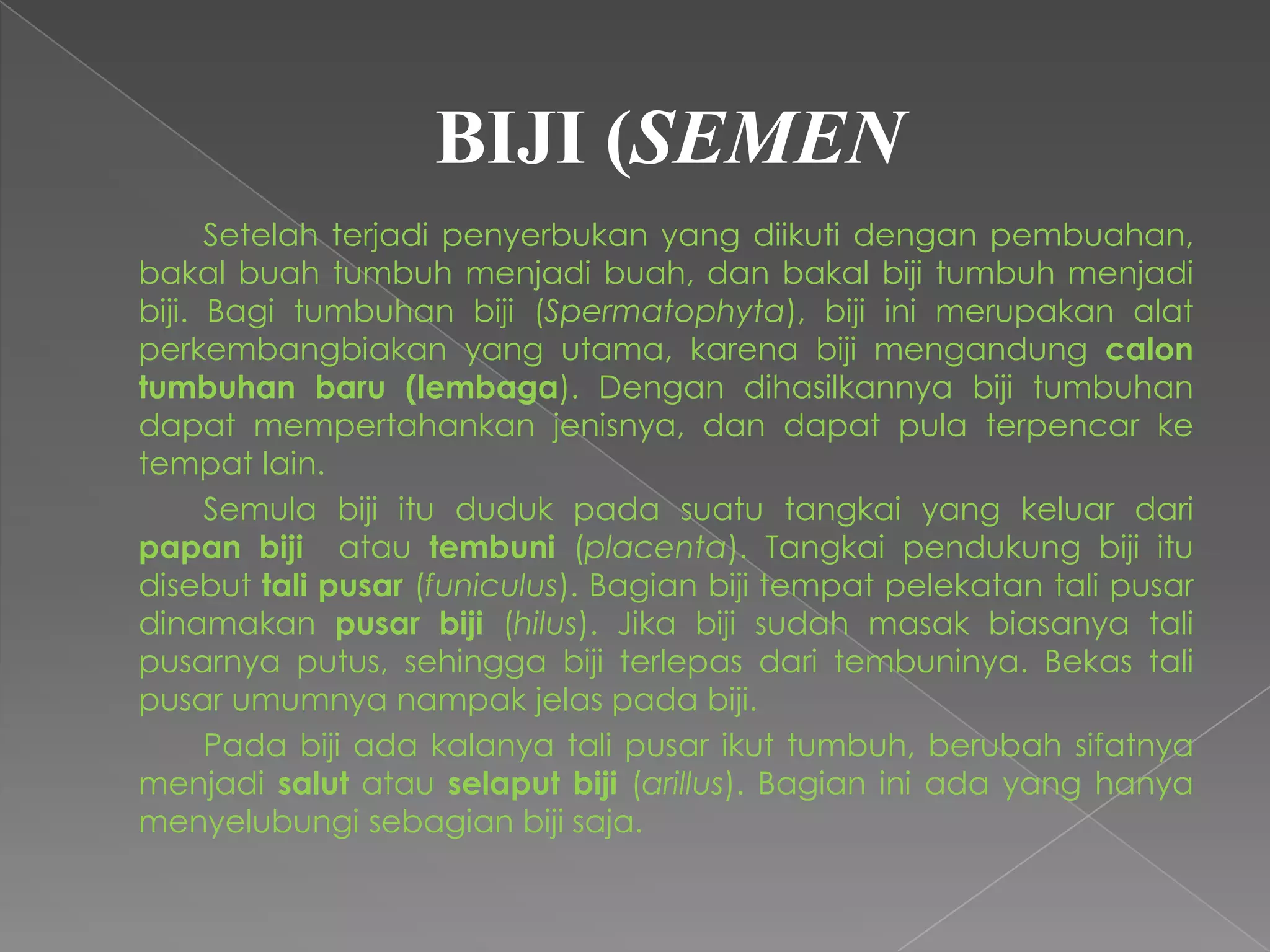 Ppt biji (semen) | PPTX