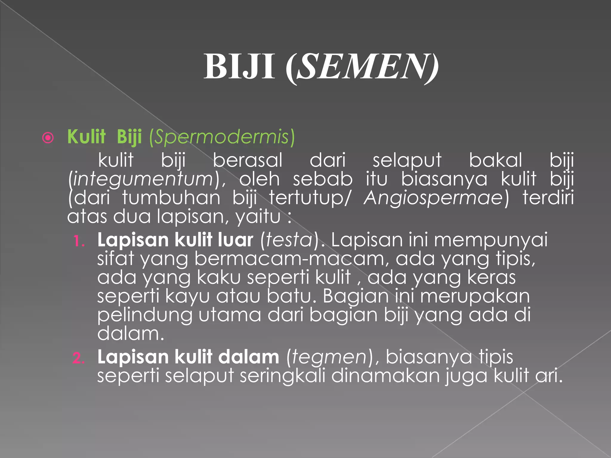 Ppt biji (semen) | PPTX