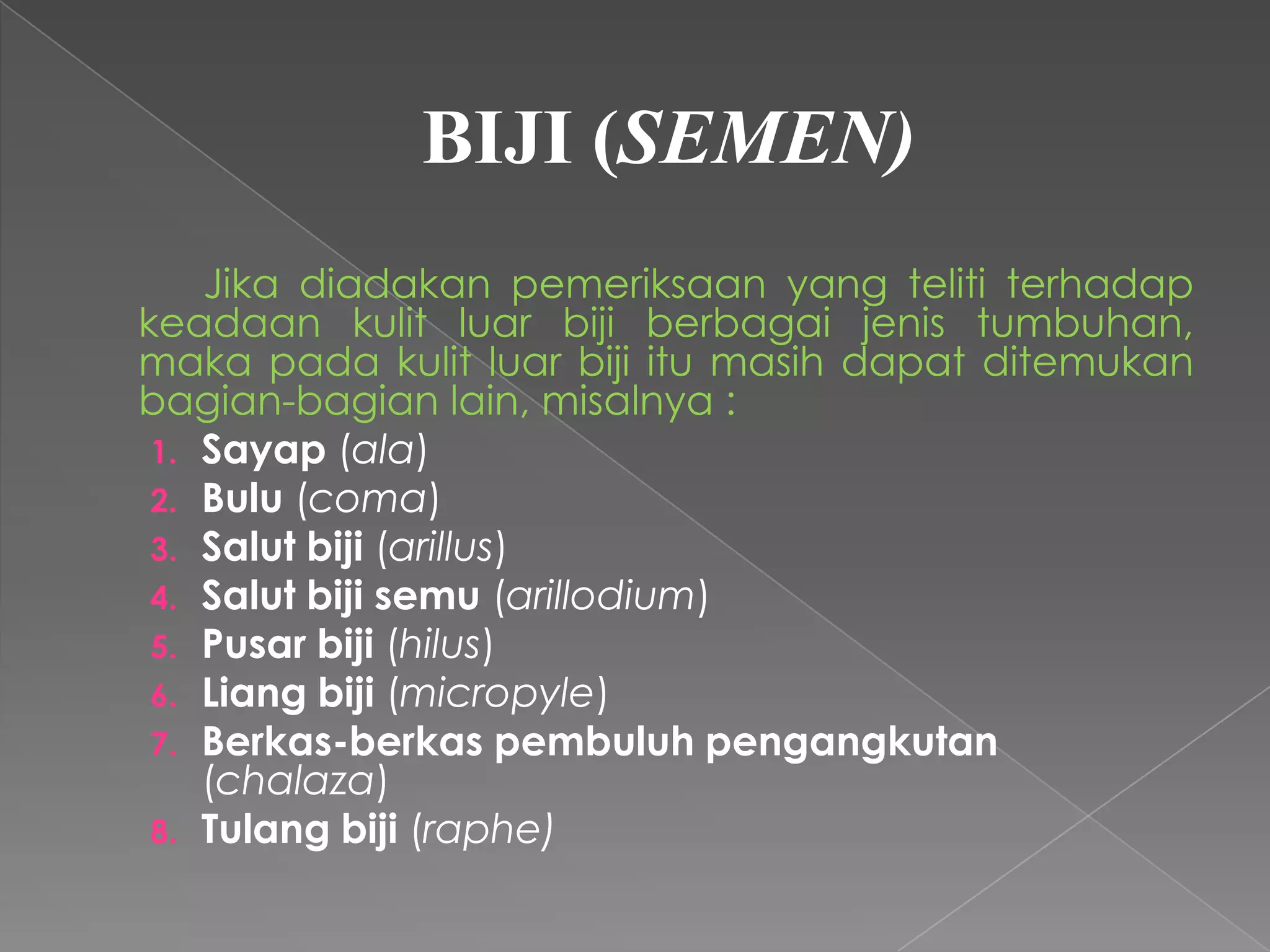 Ppt biji (semen) | PPTX