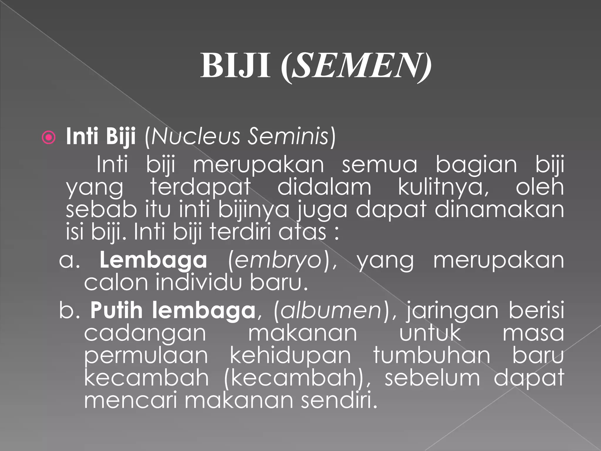 Ppt biji (semen) | PPTX