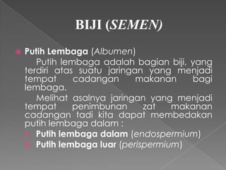 Ppt biji (semen) | PPTX
