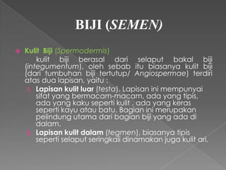 Ppt biji (semen) | PPTX