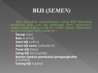 Ppt biji (semen) | PPTX