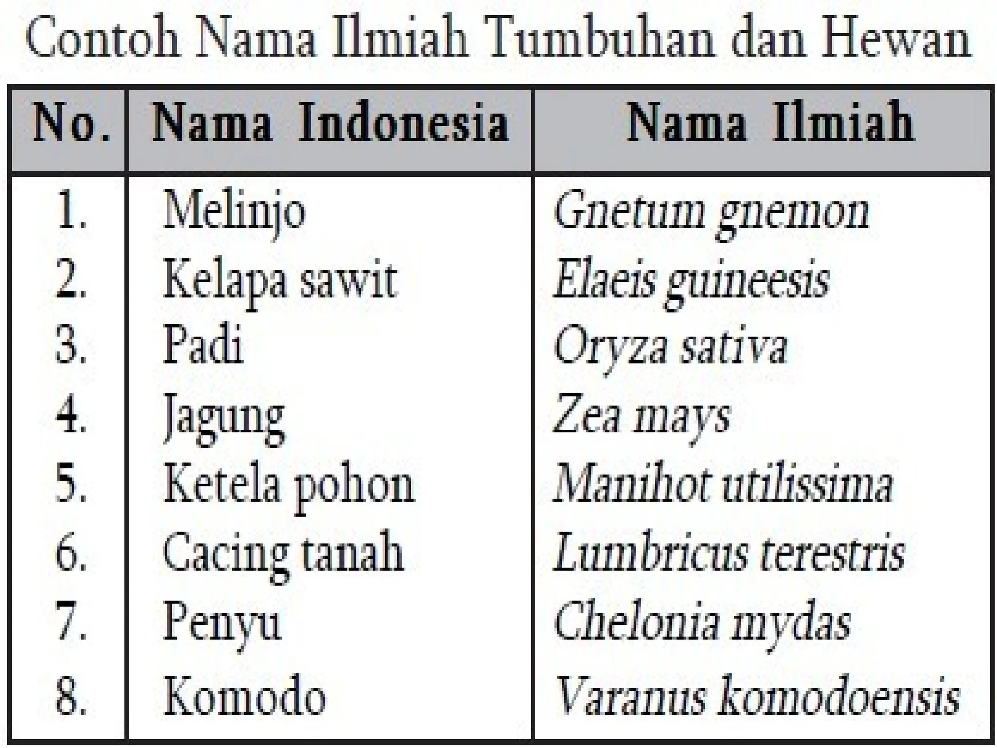 Tata nama ilmiah dan BINOMIAL NOMENCLATURE.pptx