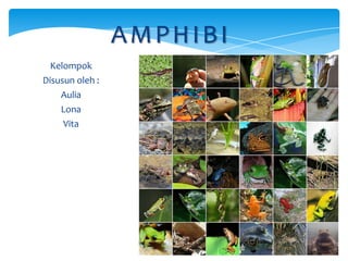 Amphibia | PPT