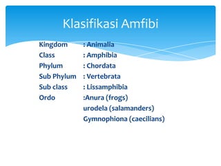 Amphibia | PPT