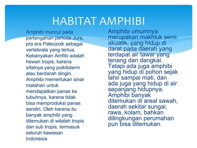 Amphibia | PPT