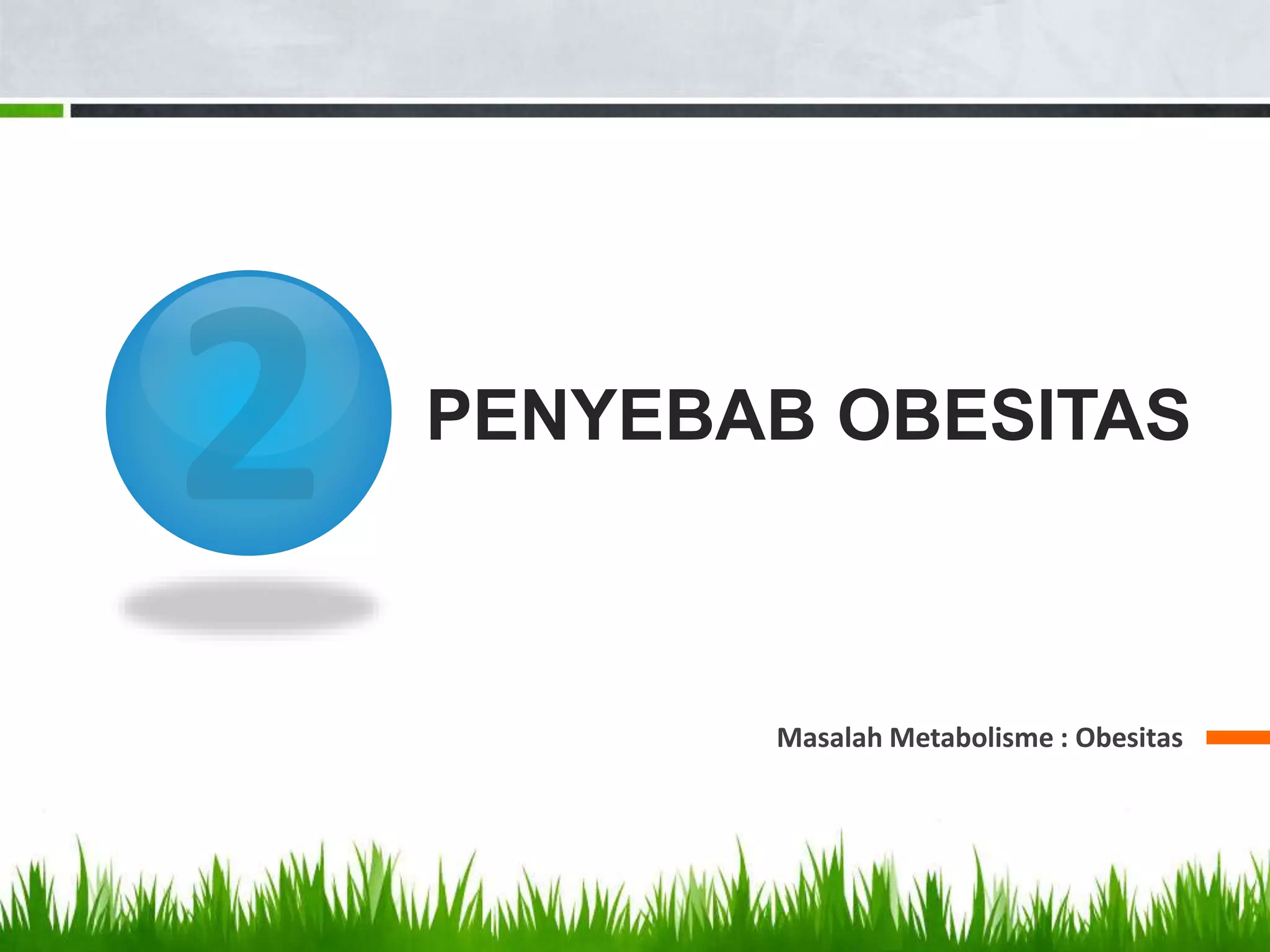 Obesitas | PPTX