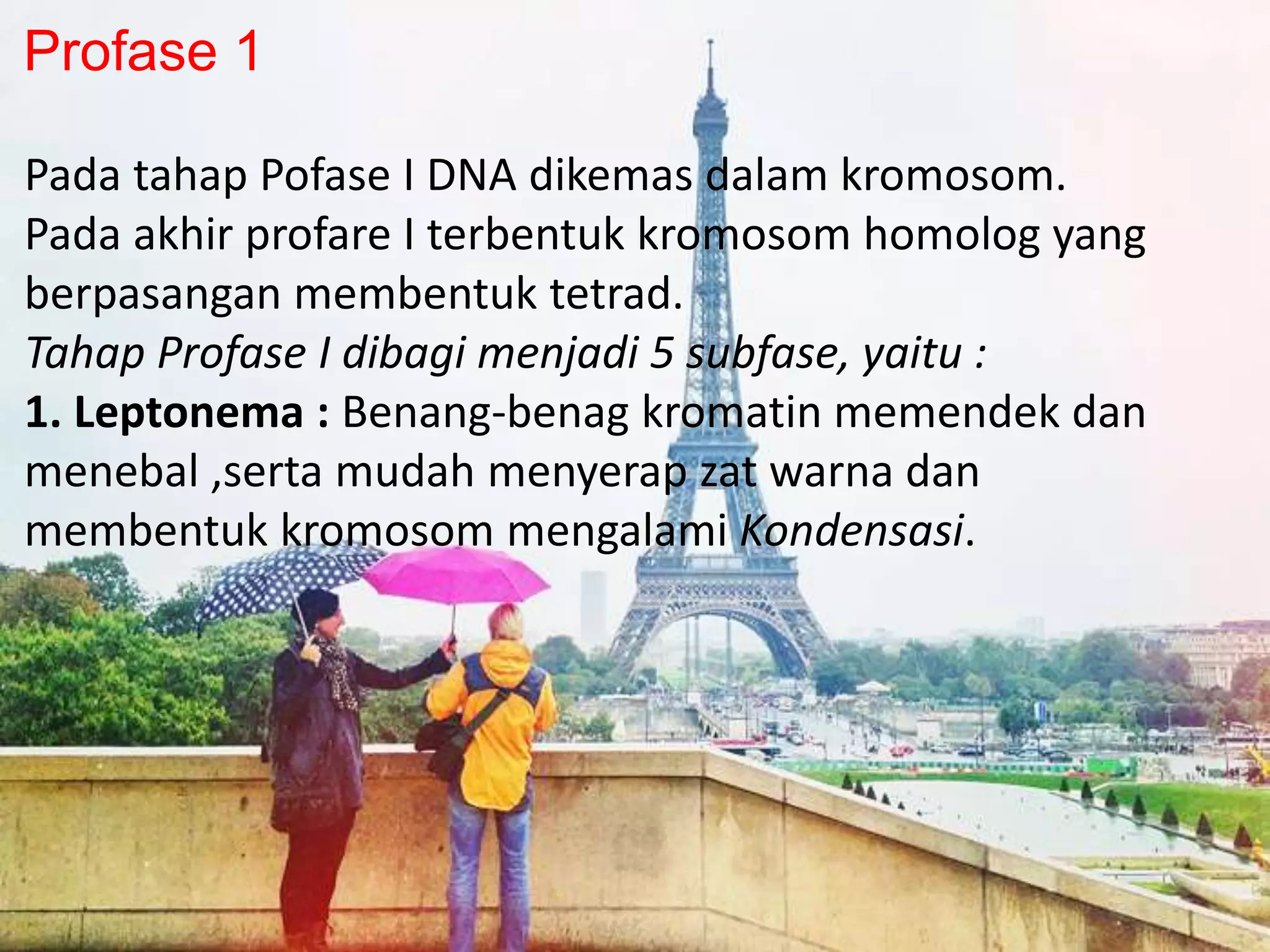 Ppt bio Pembelahan MEIOSIS | PPTX