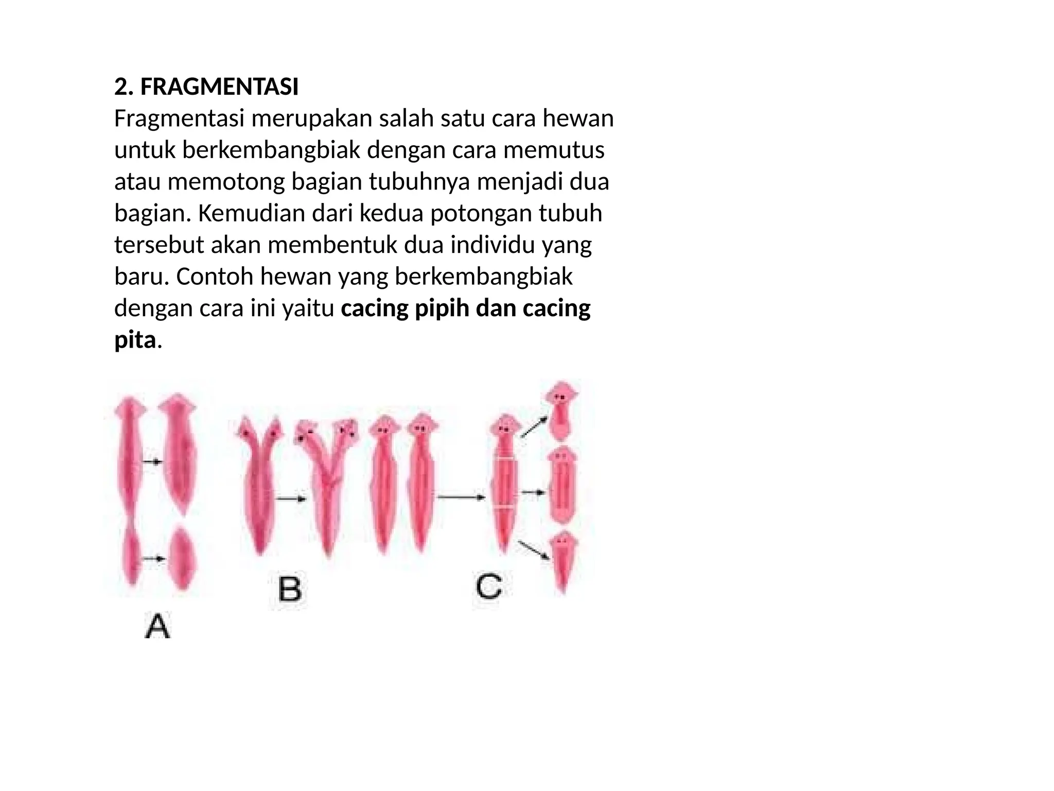 PPT BIO mengenai sistem reproduksi pada hewan.pptx