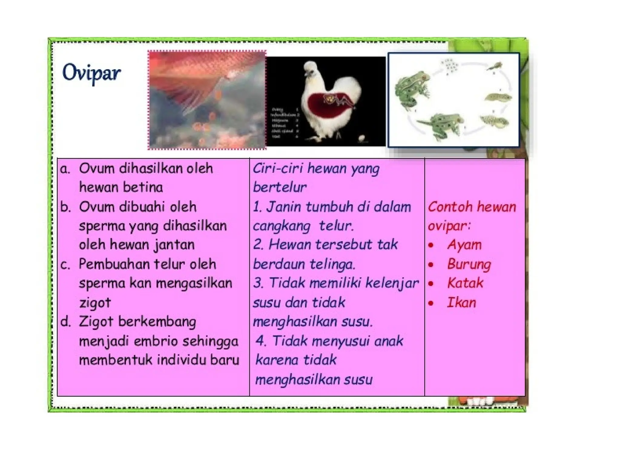 PPT BIO mengenai sistem reproduksi pada hewan.pptx