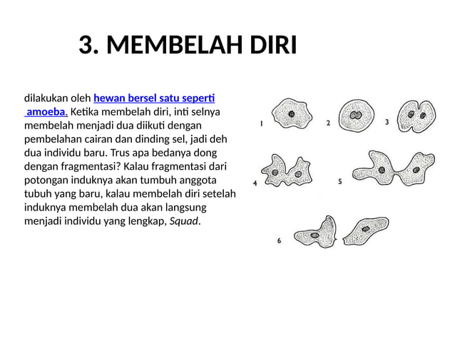 PPT BIO mengenai sistem reproduksi pada hewan.pptx
