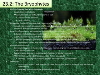 Introduction to Plants PPT | PPTX