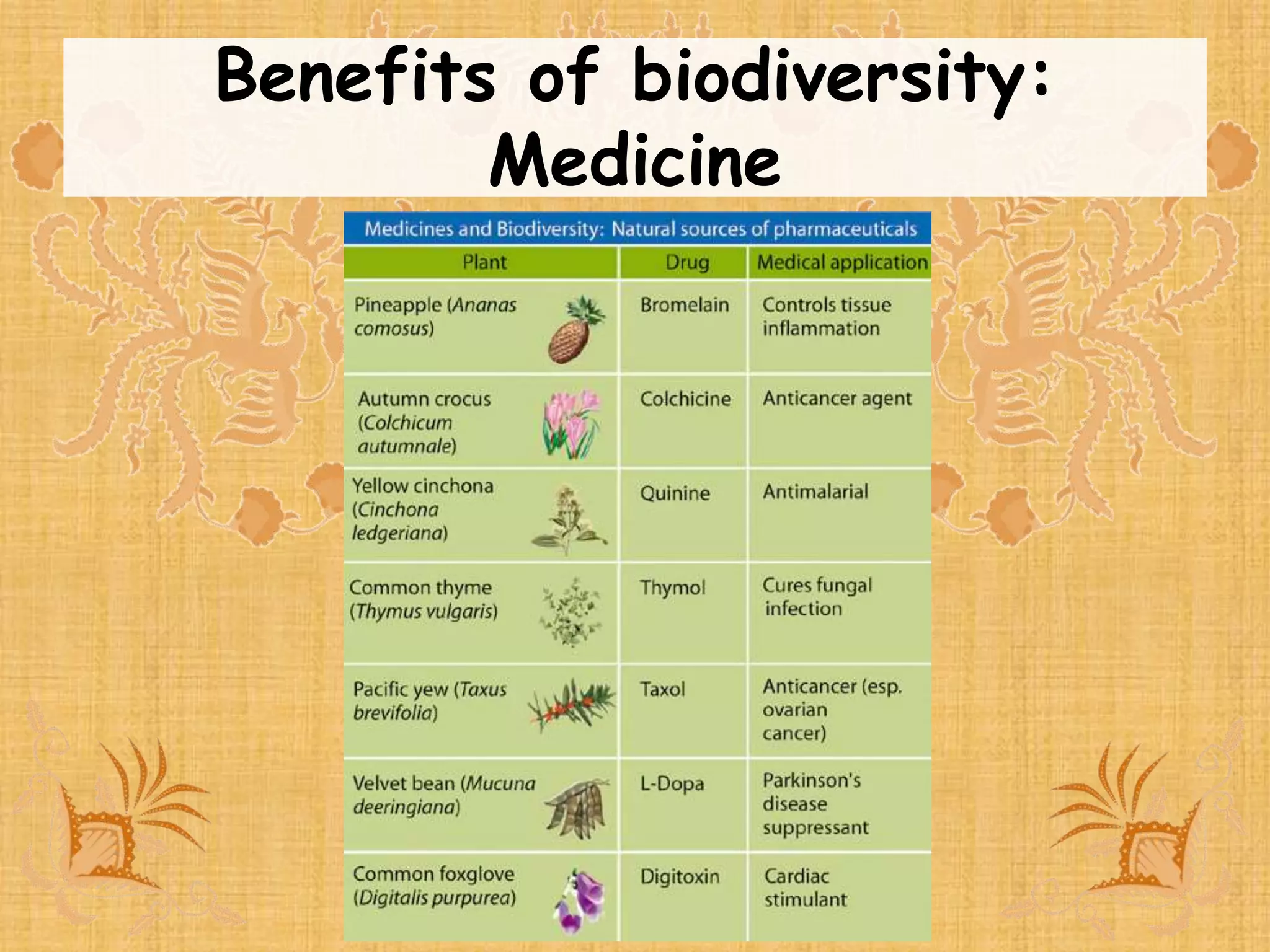 Ppt bio12 un_t1w3_biodiv_cons | PPTX | Science