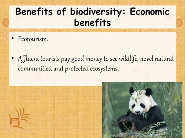 Ppt bio12 un_t1w3_biodiv_cons | PPT