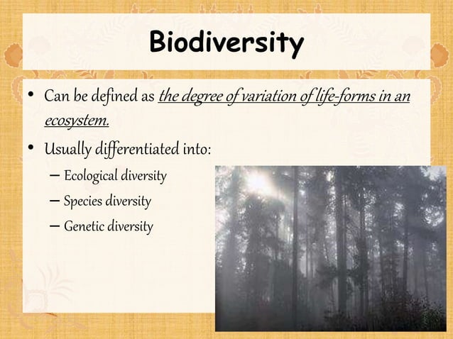 Ppt bio12 un_t1w3_biodiv_cons | PPT