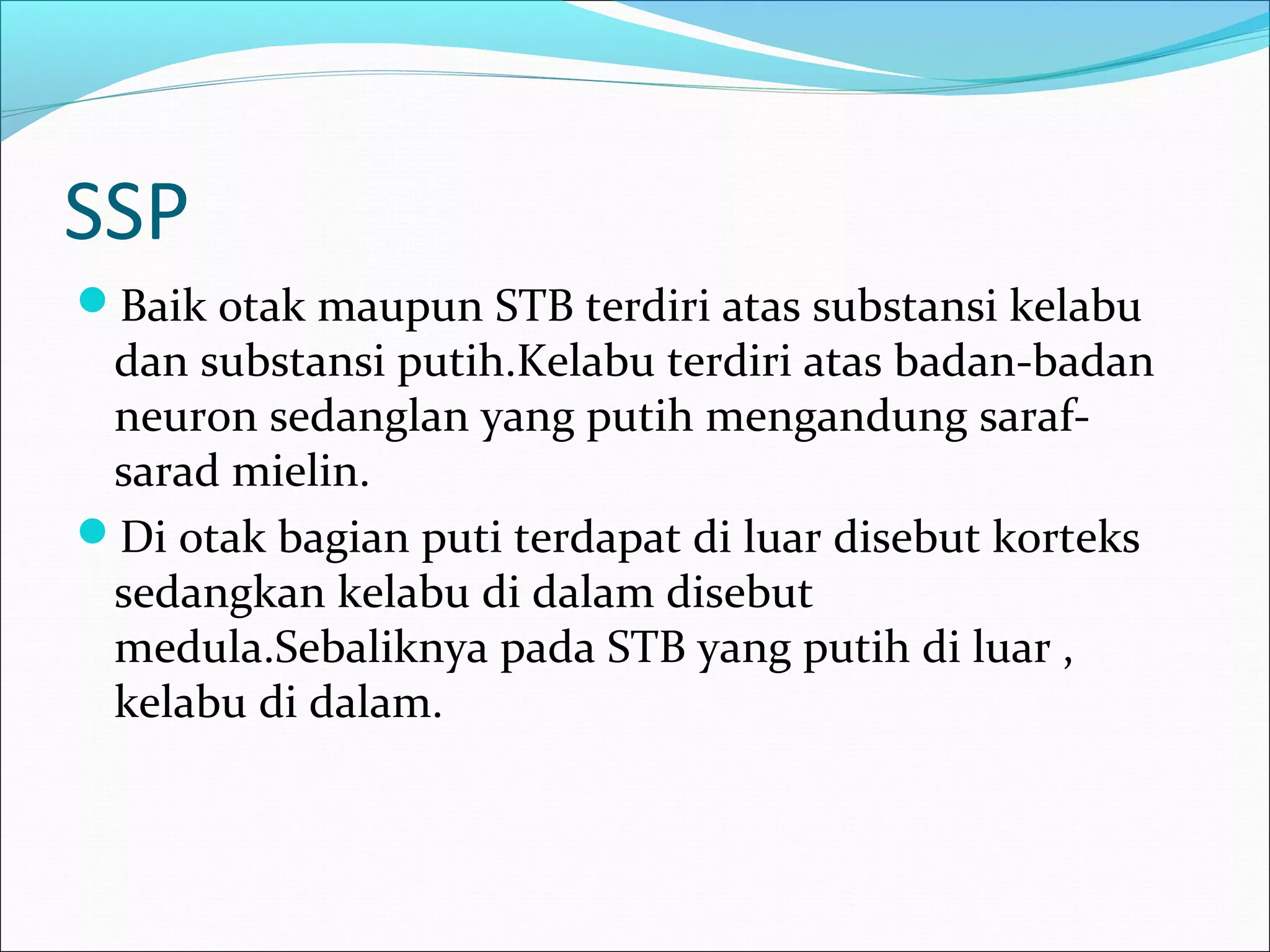 PPT BIOLOGI SISTEM SARAF & INDRA | PPT