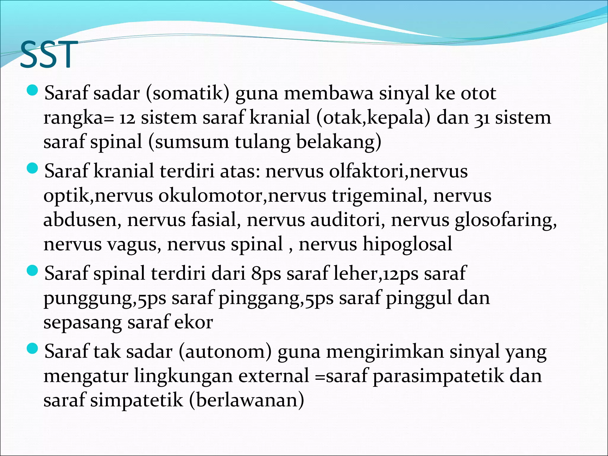 PPT BIOLOGI SISTEM SARAF & INDRA | PPT