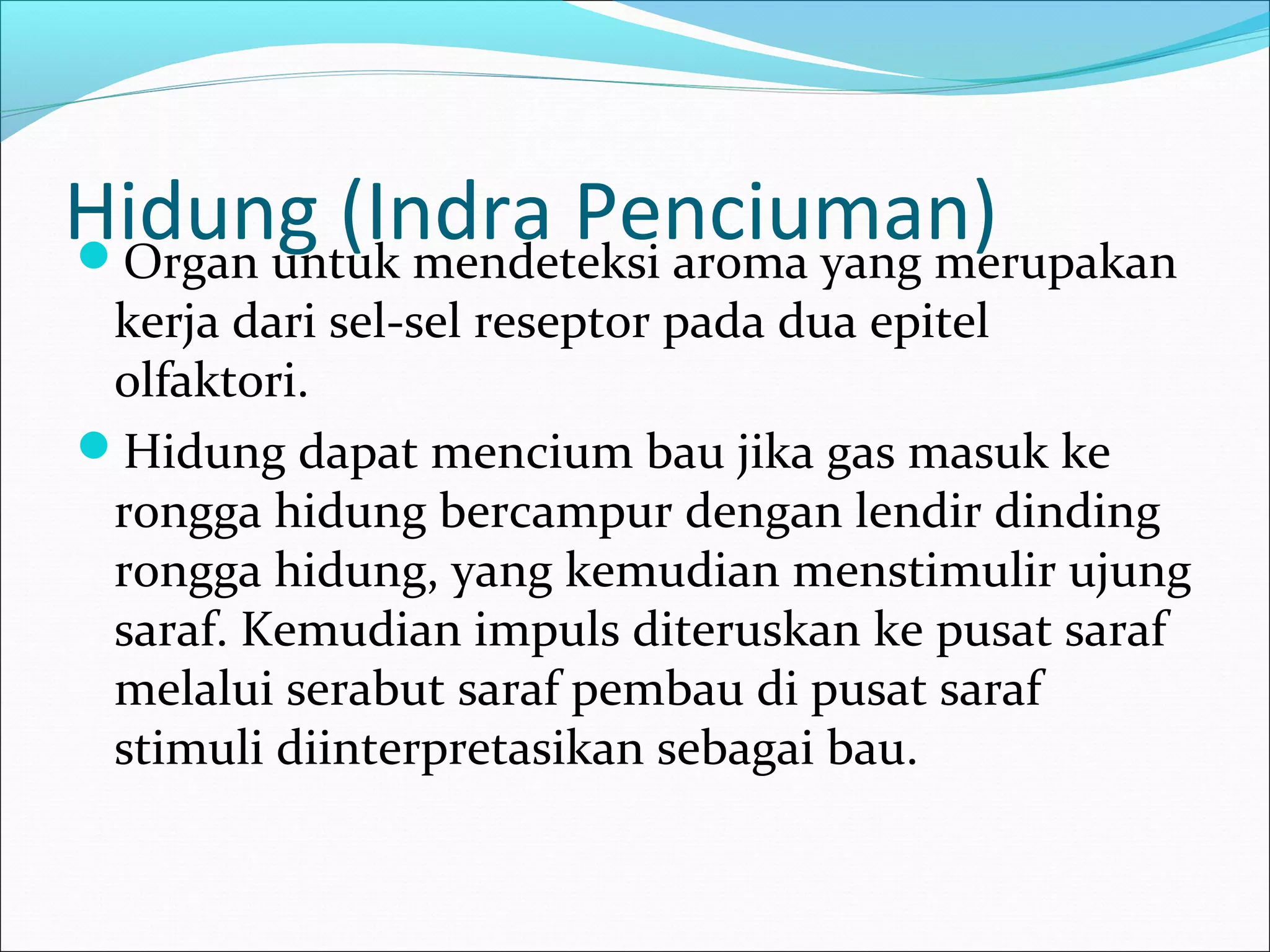 PPT BIOLOGI SISTEM SARAF & INDRA | PPT