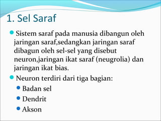 PPT BIOLOGI SISTEM SARAF & INDRA | PPT