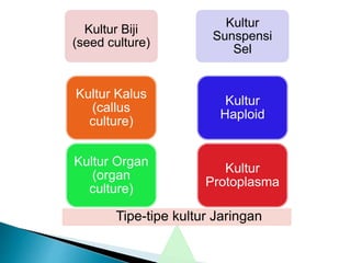 Ppt Biologi Dasar Kultur jaringan | PPTX