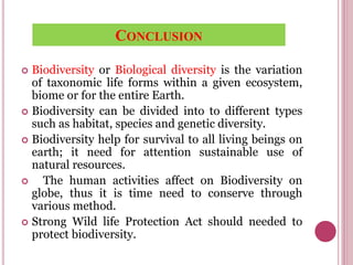 Biodiversity | PPTX | Biological Sciences | Science