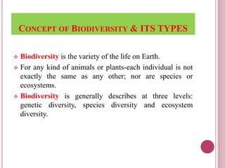Biodiversity | PPTX