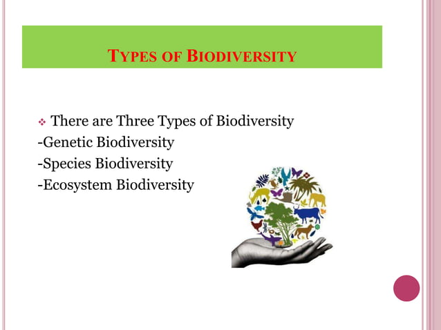 Biodiversity | PPT