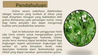 PPT Bioherbisida Kelompok 5.pptx