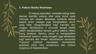 PPT Bioherbisida Kelompok 5.pptx