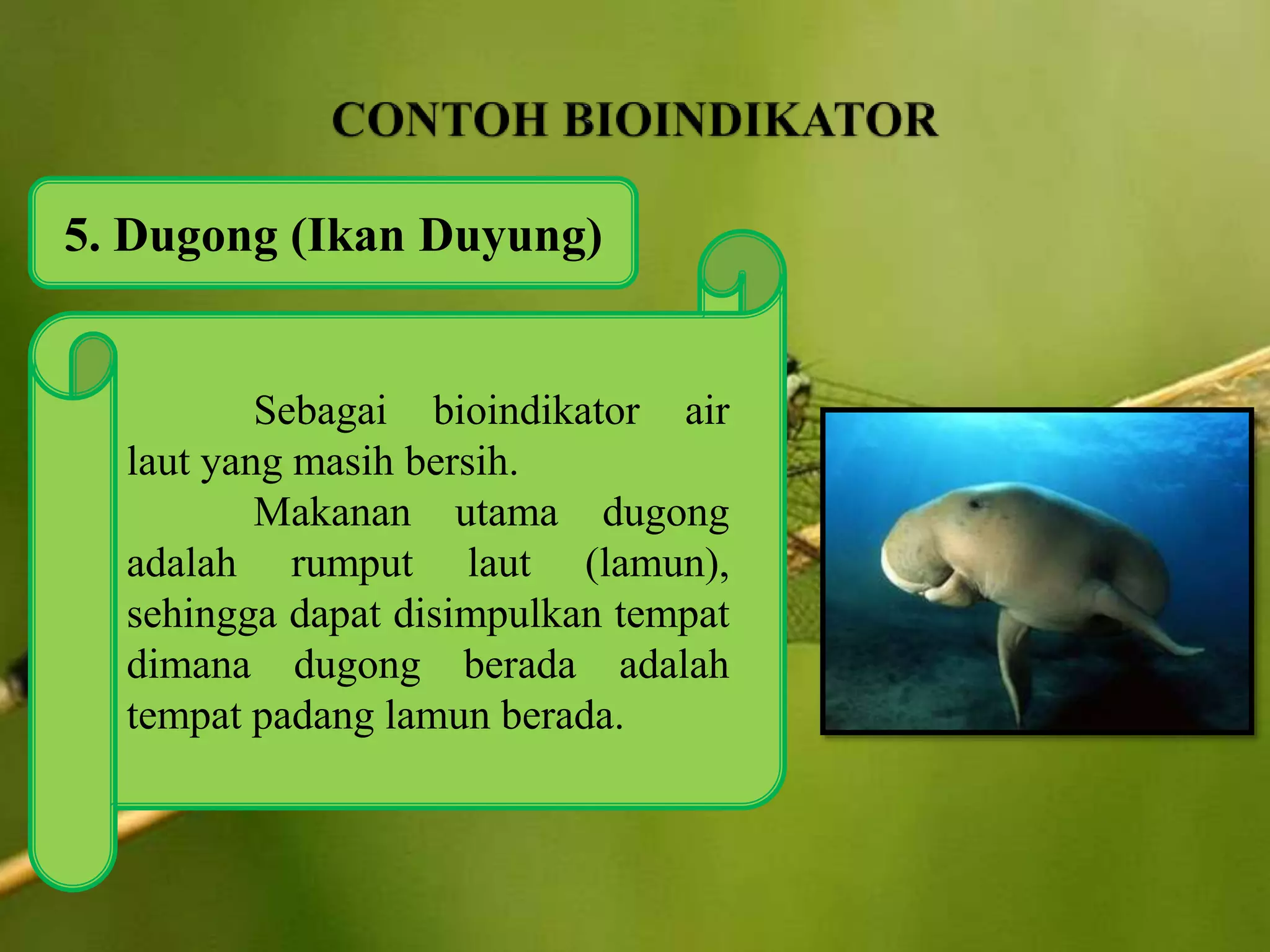 PPT bioindikator | PPTX