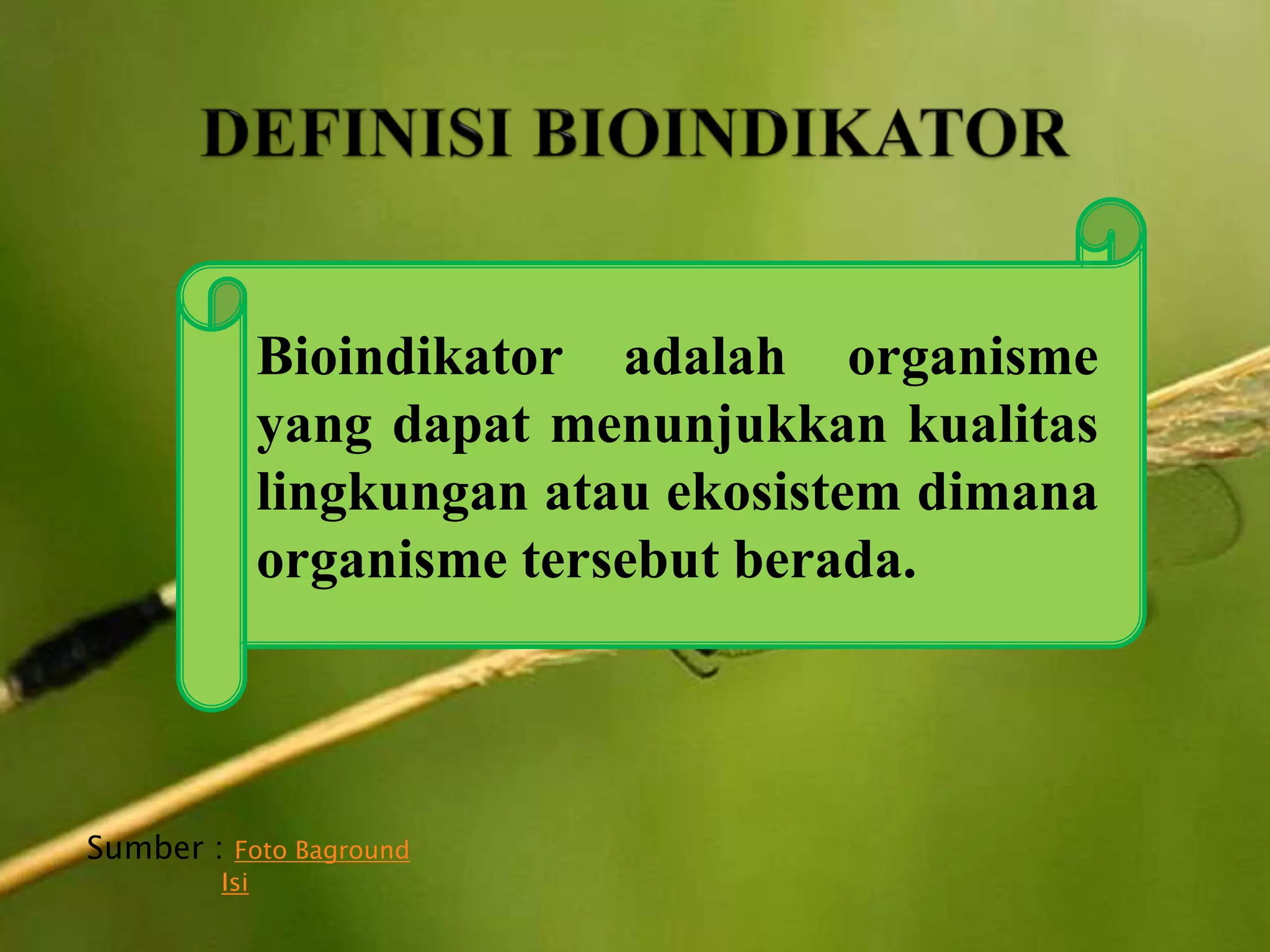PPT bioindikator | PPTX