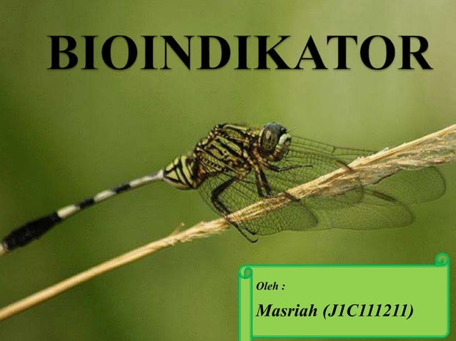 PPT bioindikator | PPTX