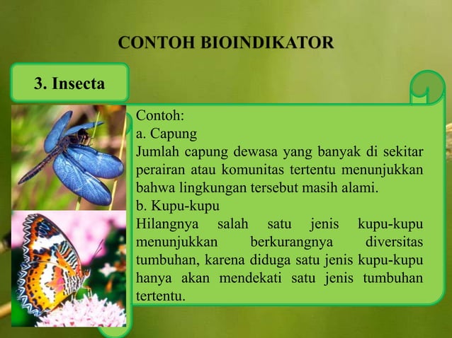 PPT bioindikator | PPT